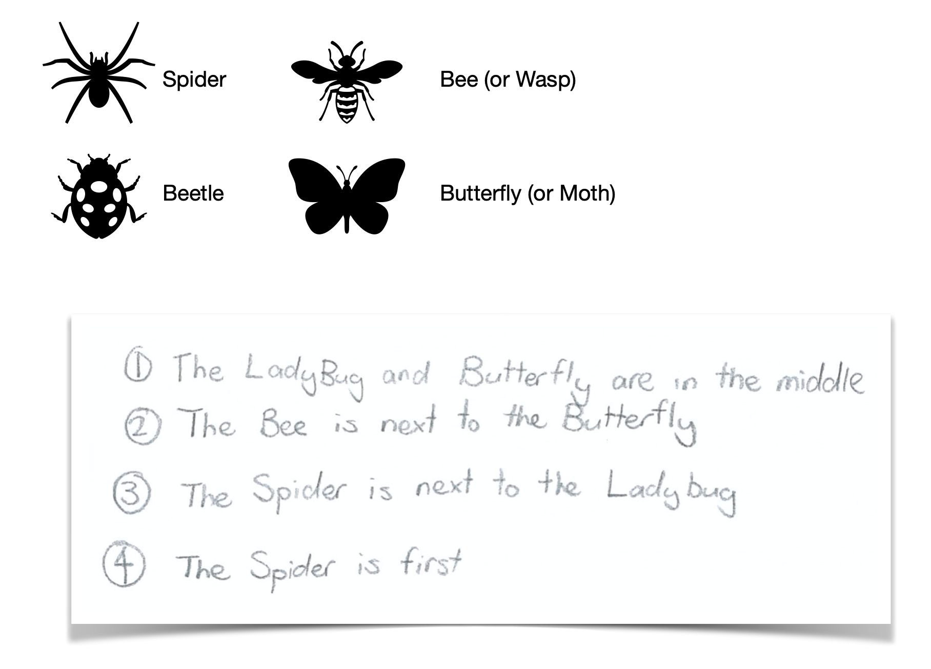 Create your own - APSMO